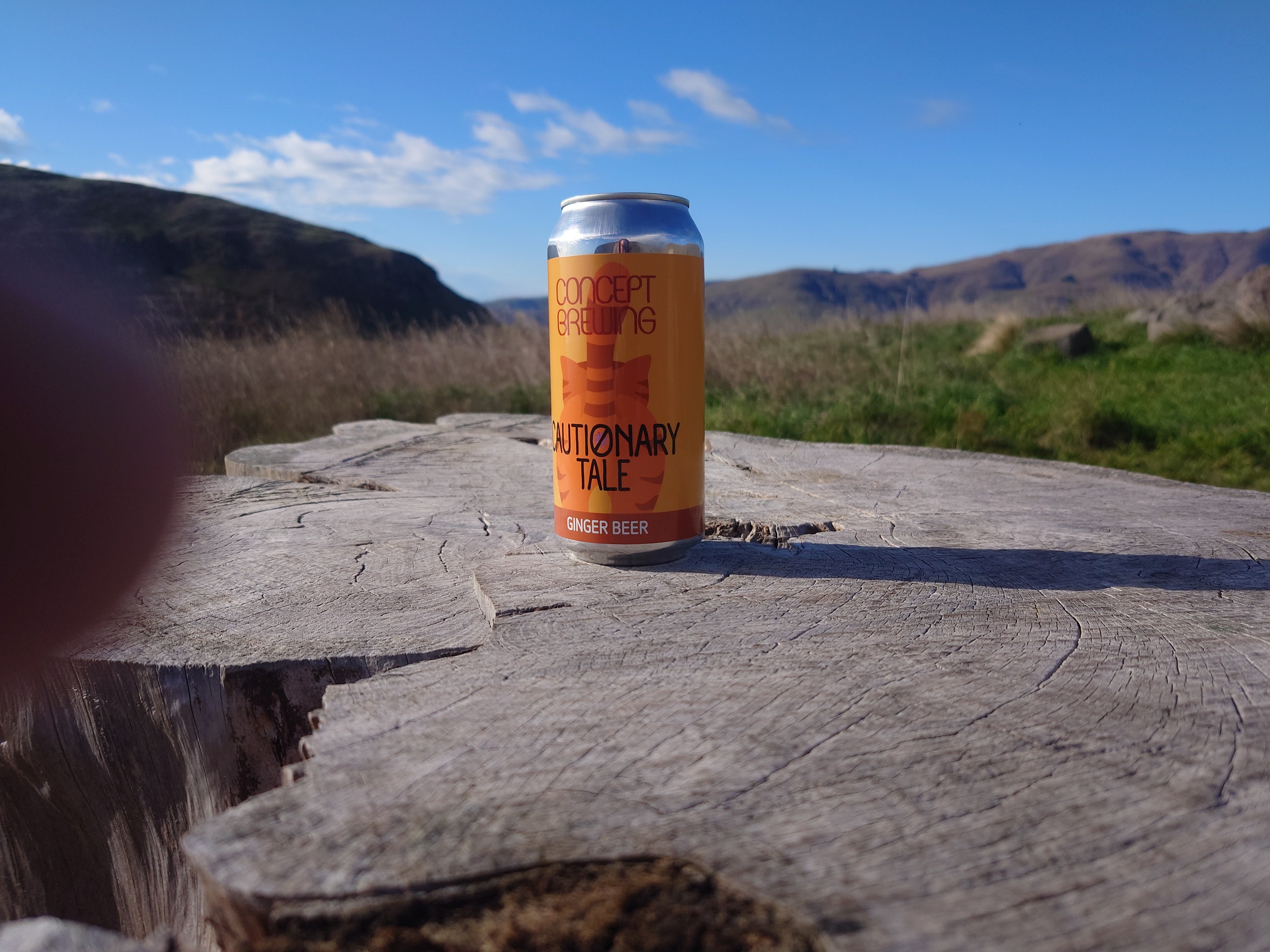 Cautionary Tale Alcoholic Ginger Beer 12x440 mL cans – Concept Brewing